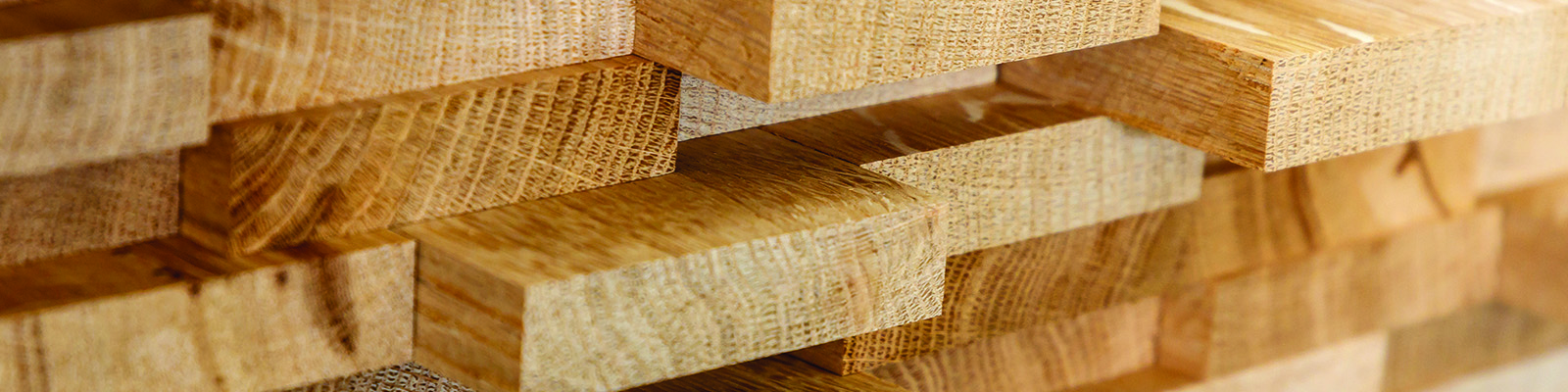 Hardwood & Softwod Timbers | The Most Important Differences